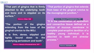 Attached Gingiva.pptx