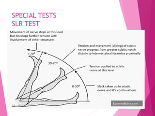 7.SCIATIC NERVE.pdf