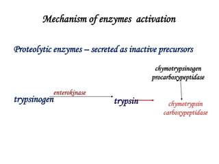 7. pancr secr.ppt