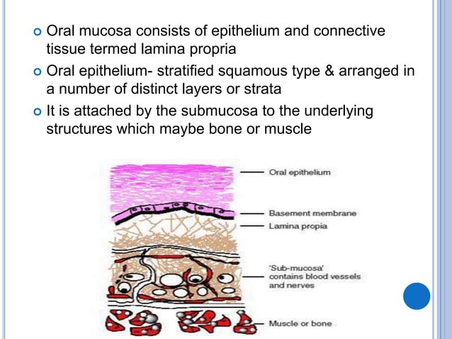 7. Oral mucosa.pptx