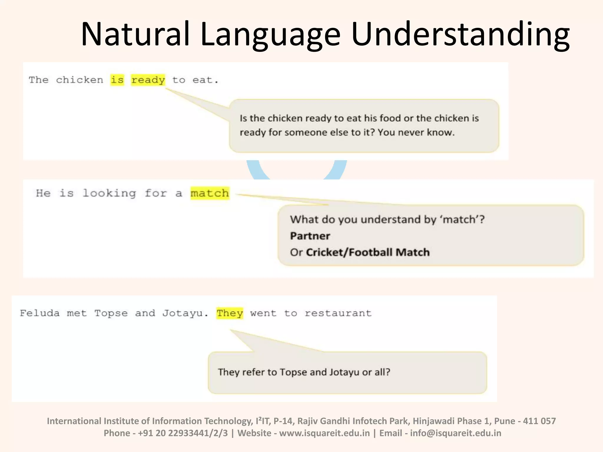 Understanding Natural Language Processing | PPTX