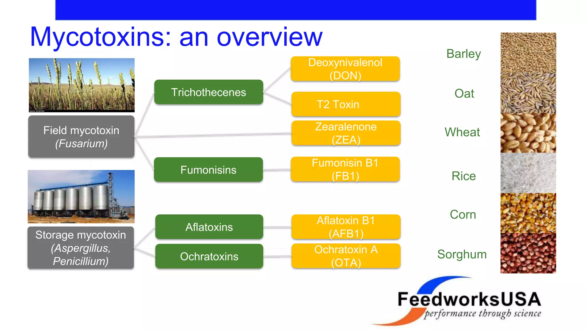 7. Mycotoxins impact on Reproduction Australia Version.pptx