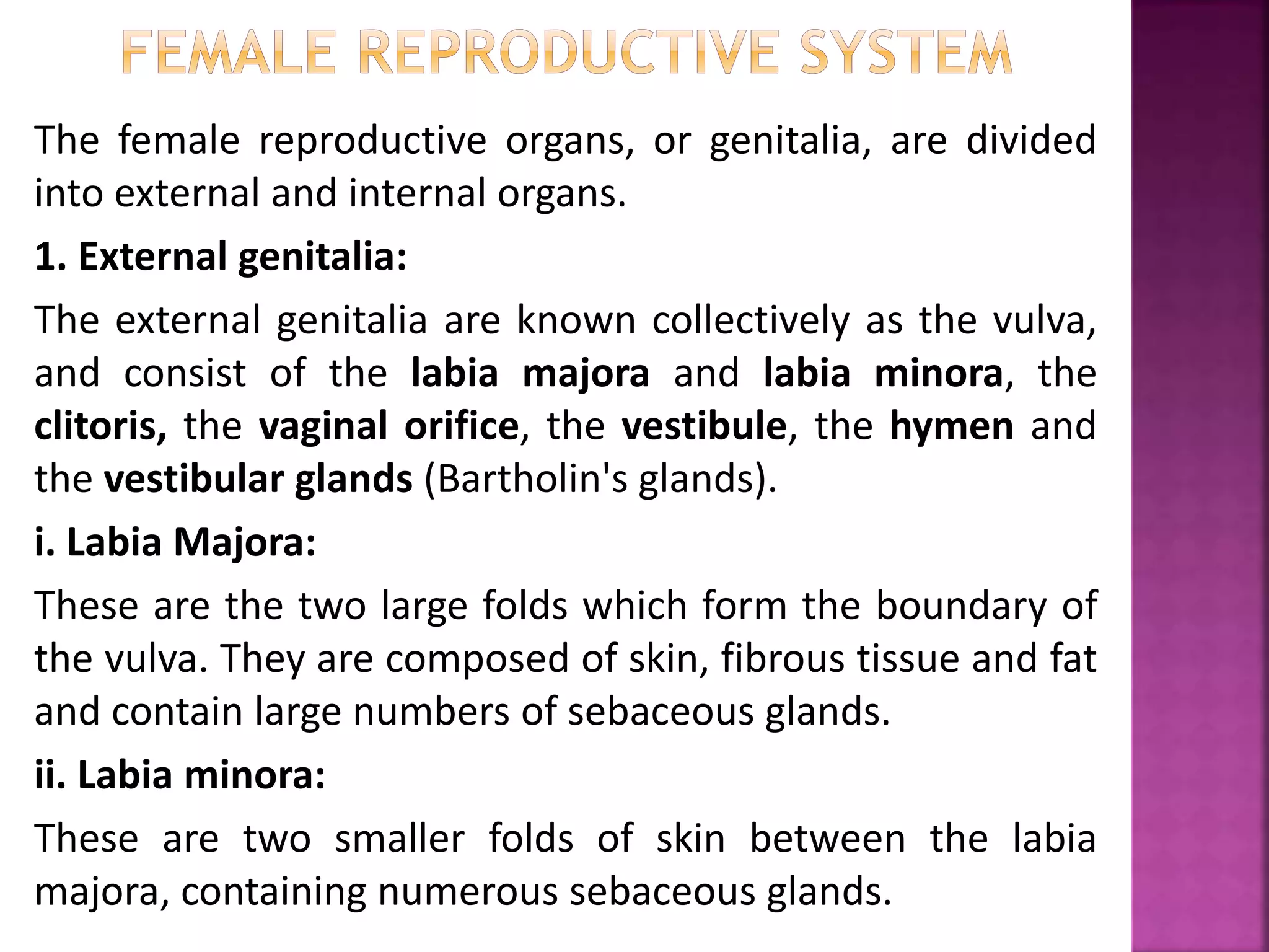 7. Male and Female reproductive system.pptx
