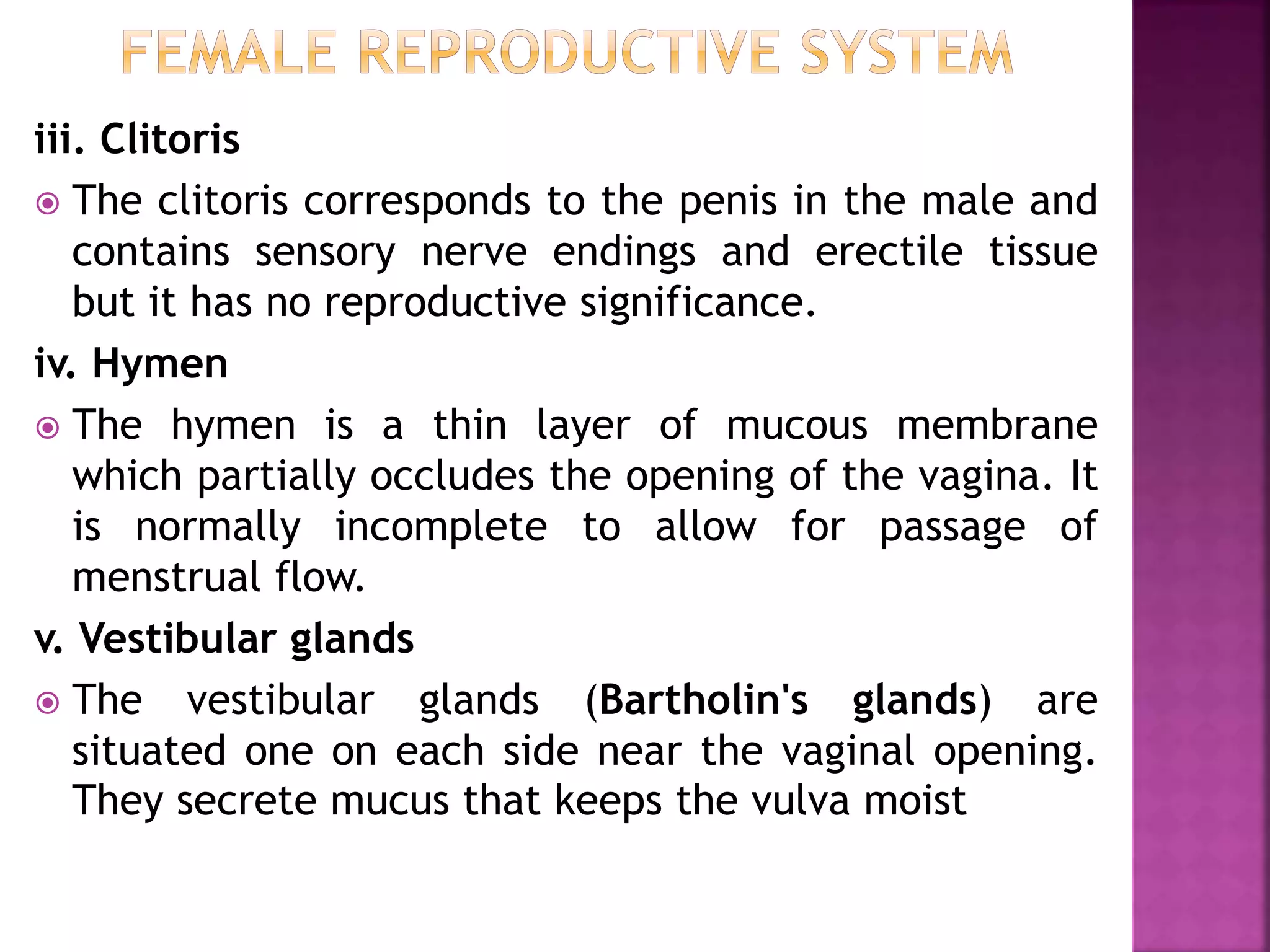 7. Male and Female reproductive system.pptx