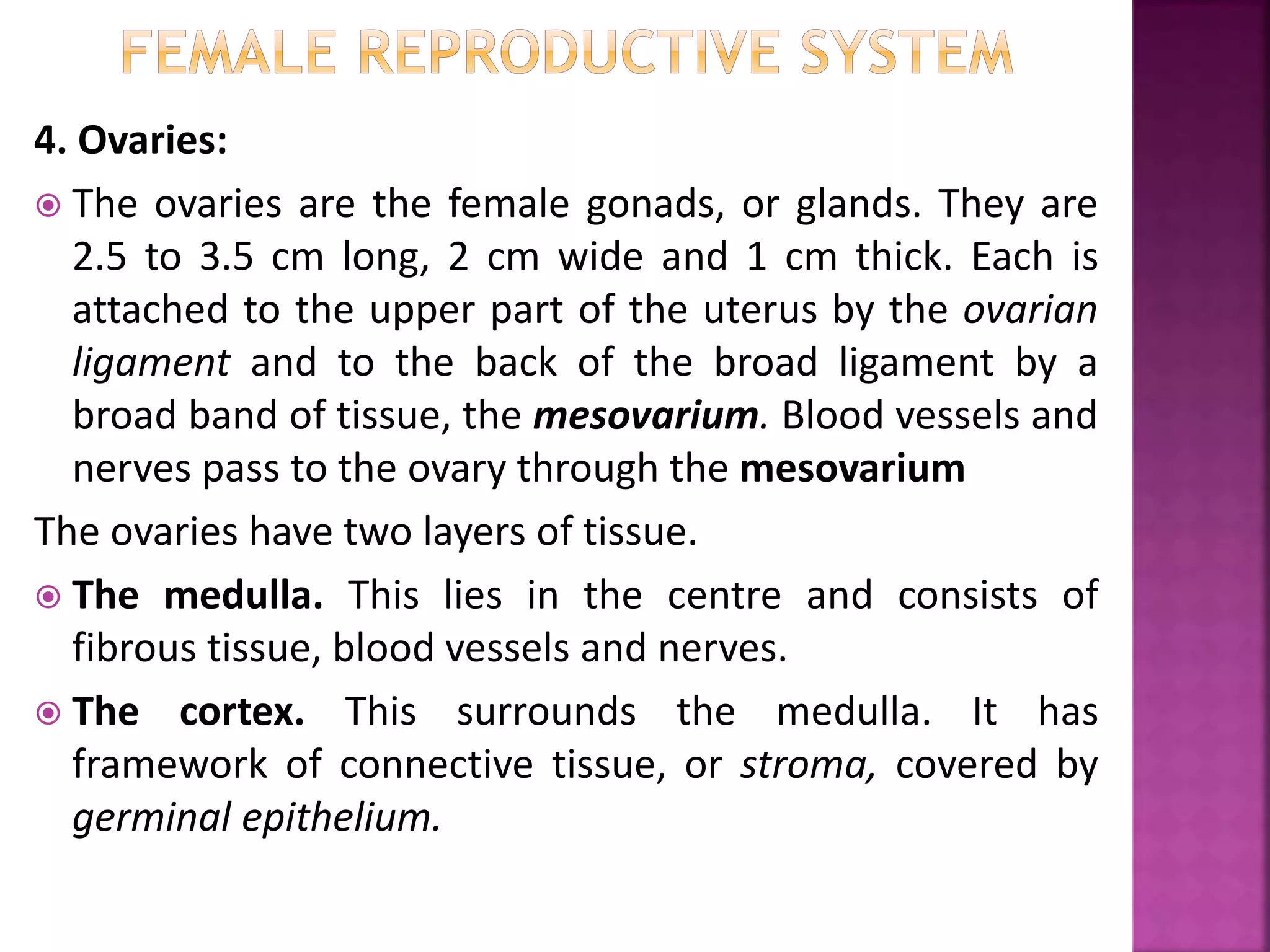 7. Male and Female reproductive system.pptx | Pregnancy | Reproductive ...