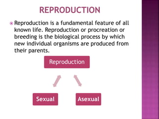 7. Male and Female reproductive system.pptx