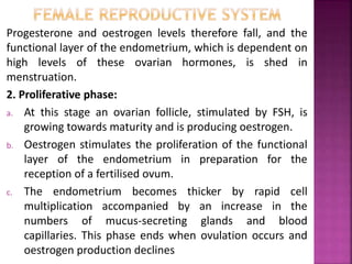 7. Male and Female reproductive system.pptx