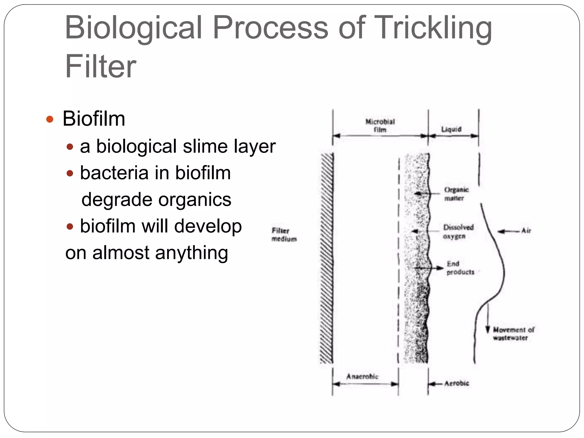7. Trickling Filter.pptx