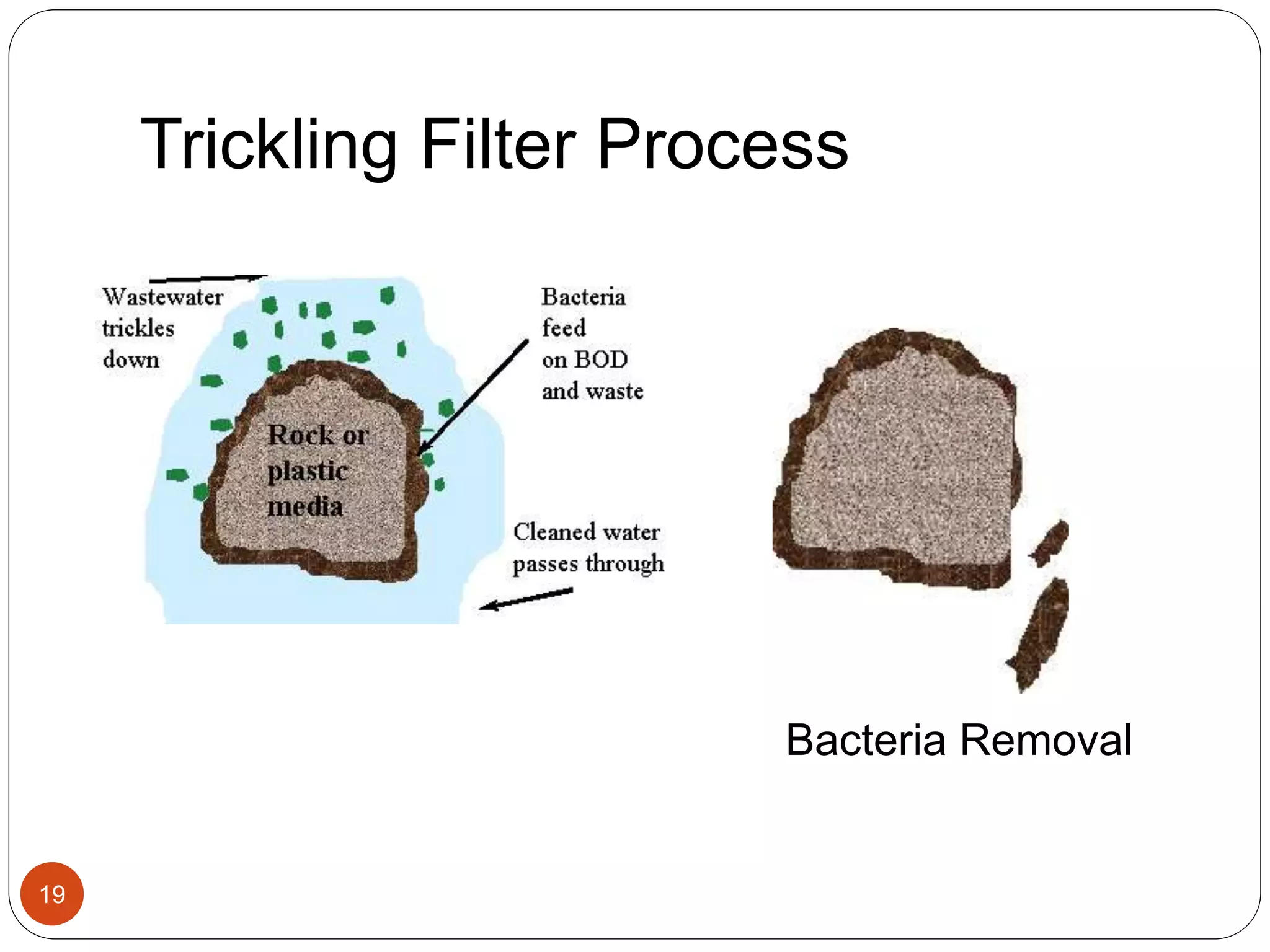 7. Trickling Filter.pptx