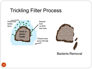 7. Trickling Filter.pptx