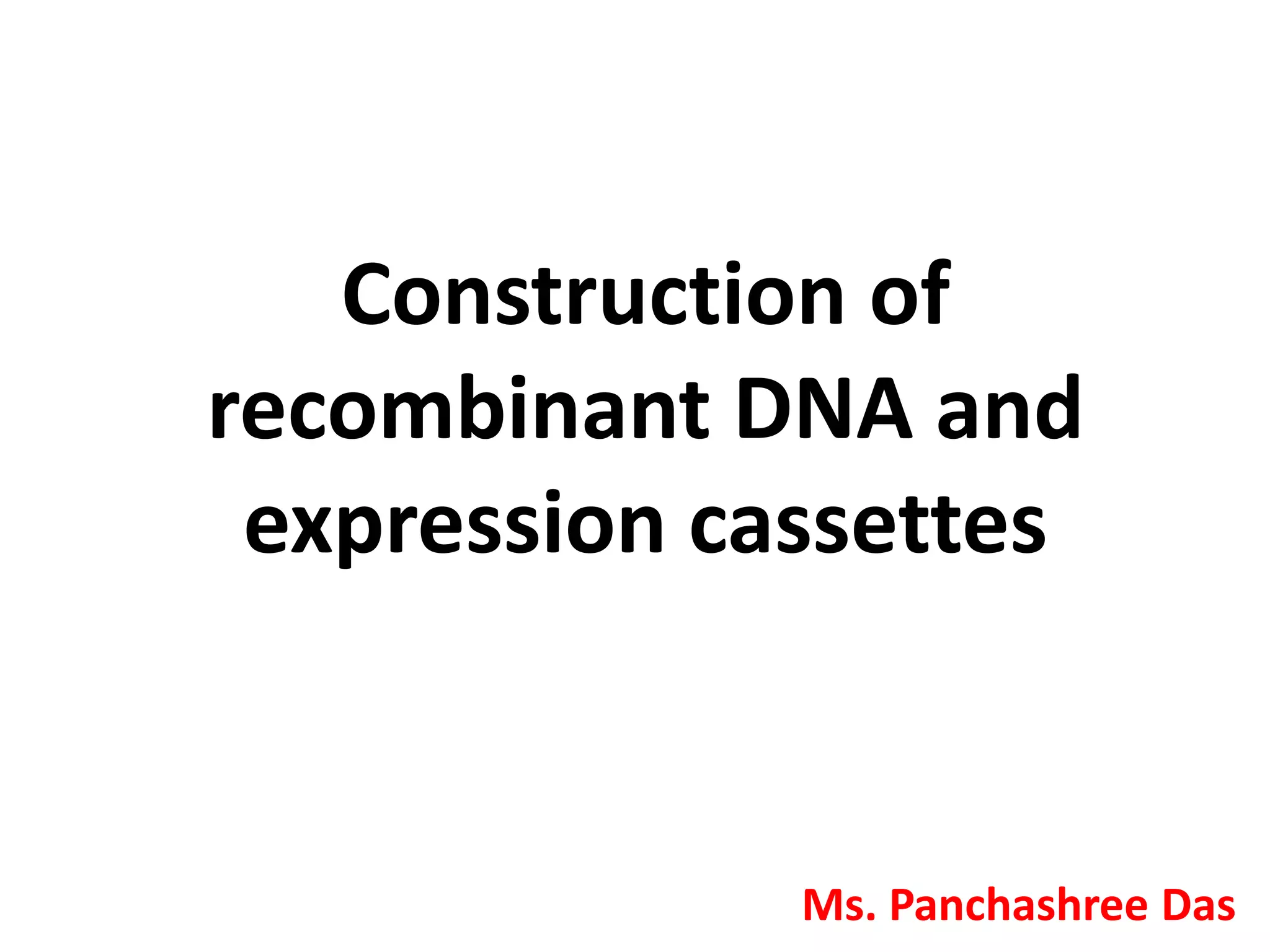 7. recombinant DNA.pptx