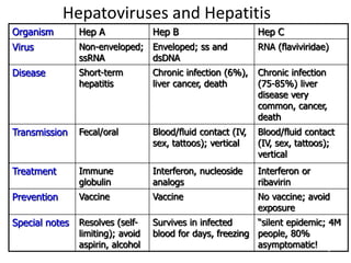 7. Hepatitis virus.pptx