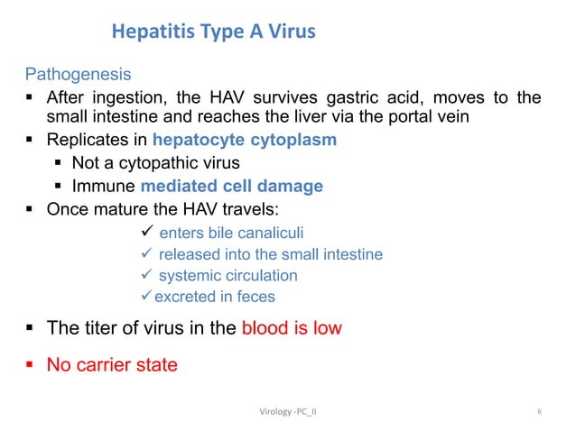 7. Hepatitis virus.pptx