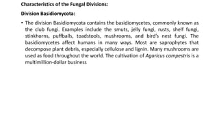 Fungi_Classification and Importance | PPT