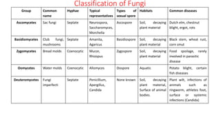 Fungi_Classification and Importance | PPT