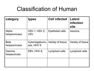 7. herpersvirus VCV.ppt