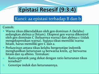 7. Interaksi Gen New.pptx