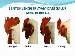 7. Interaksi Gen New.pptx