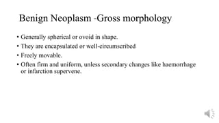 Neoplasia | PPTX