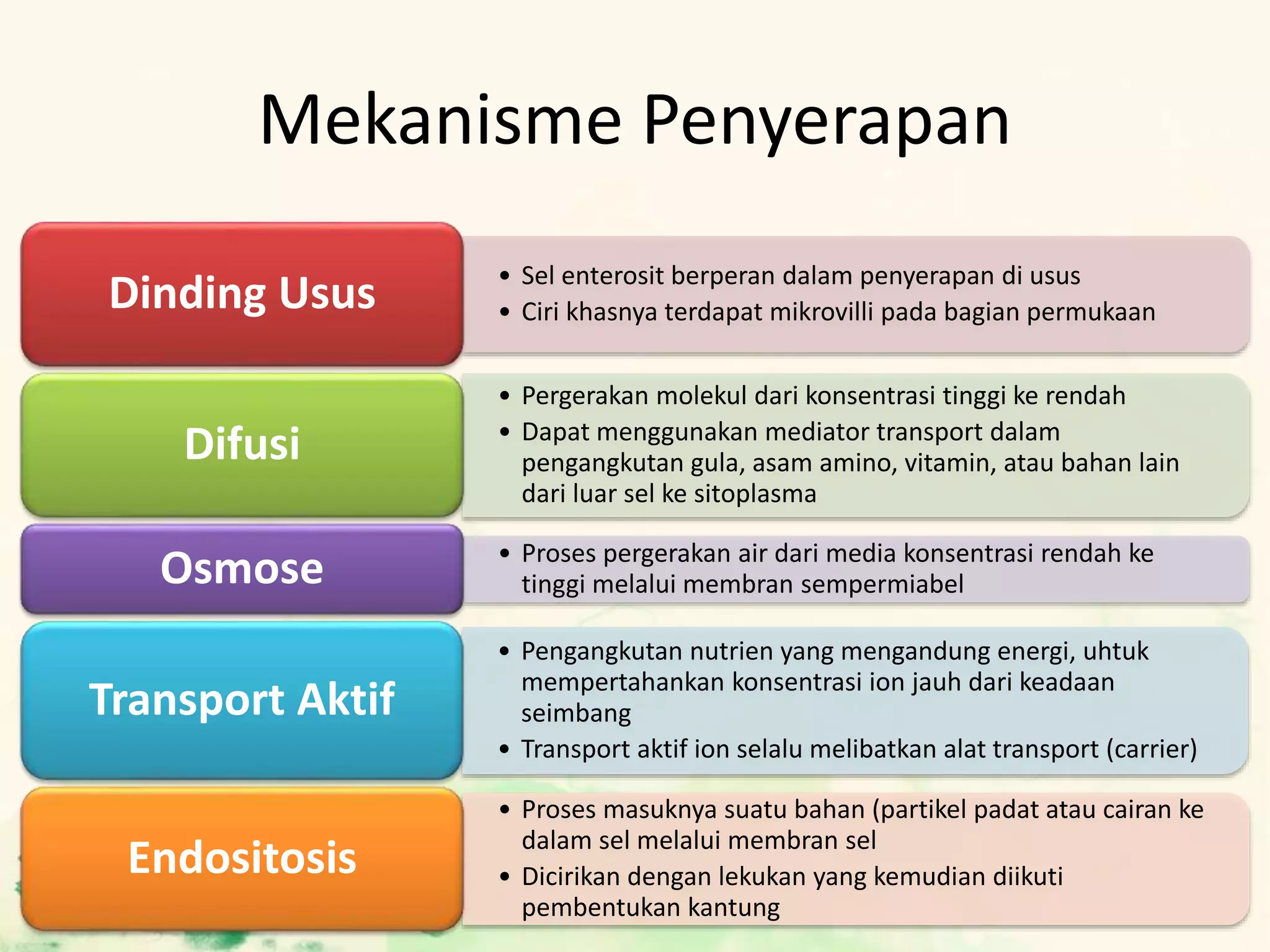 7. Sistem Pencernaan Ikan.ppt