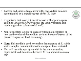 7.3 ANTIMICROBIAL DRUGS AND SENSITIVITY TESTING.ppt