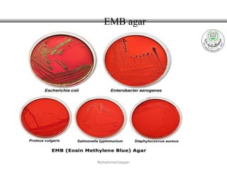 7.3 ANTIMICROBIAL DRUGS AND SENSITIVITY TESTING.ppt