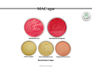 7.3 ANTIMICROBIAL DRUGS AND SENSITIVITY TESTING.ppt