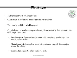 7.3 ANTIMICROBIAL DRUGS AND SENSITIVITY TESTING.ppt