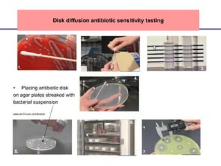 7._LS_ang_Pract_ATB_sensitivity_testing.pdf