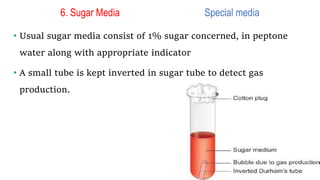 7. Media for bacterial growth.pptx