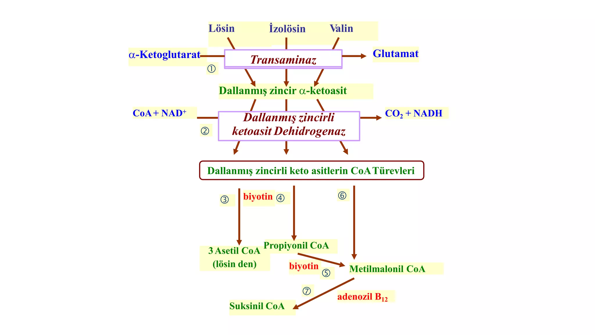 7.HAFTA DERS SUNUMU AYHAN ÜĞÜDEN.pptx