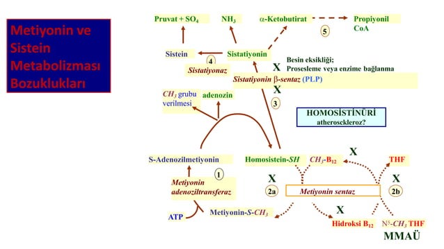 7.HAFTA DERS SUNUMU AYHAN ÜĞÜDEN.pptx