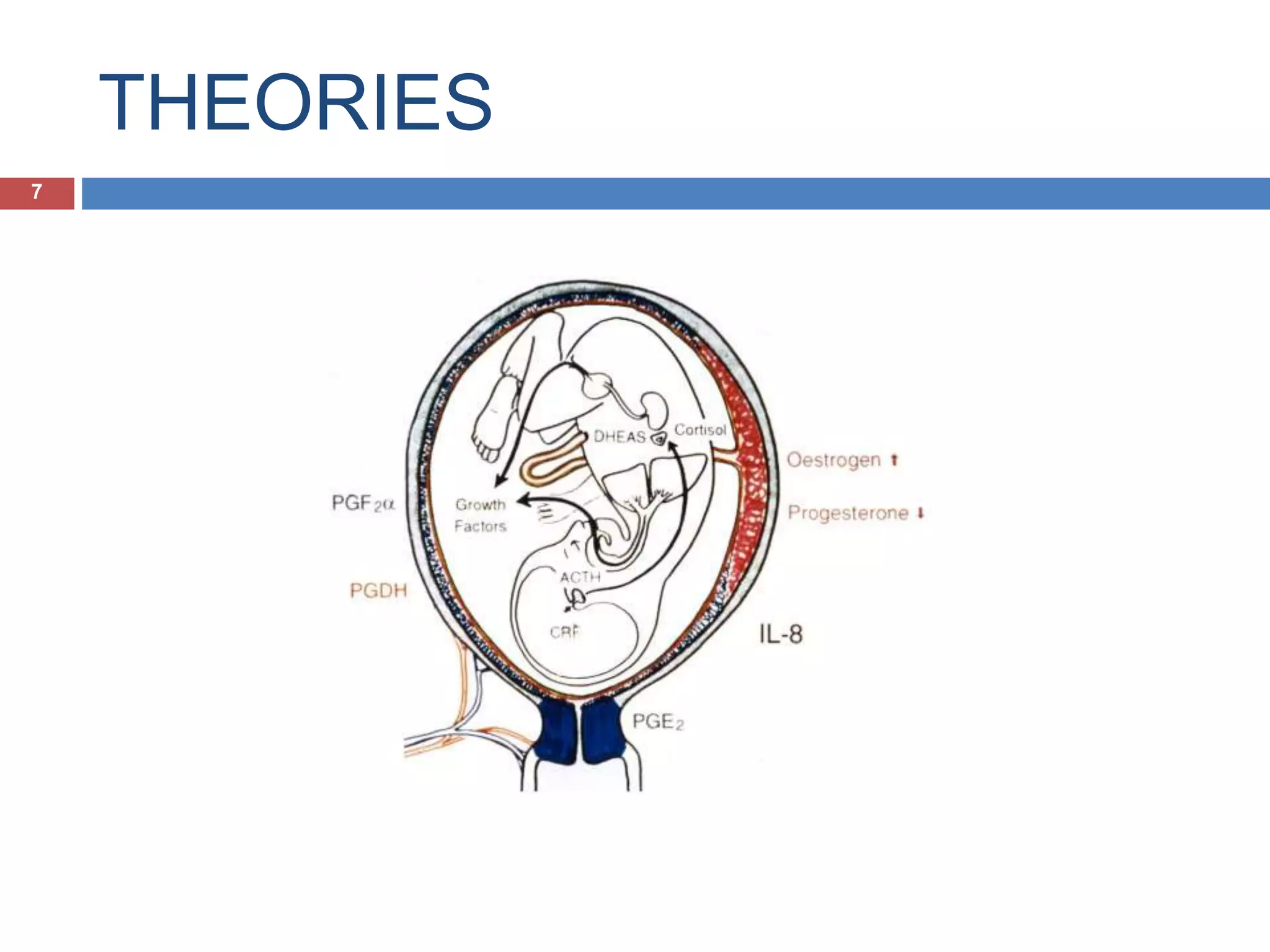 7. Normal-Labor-and-Delivery 07.12.14 lecture.ppt