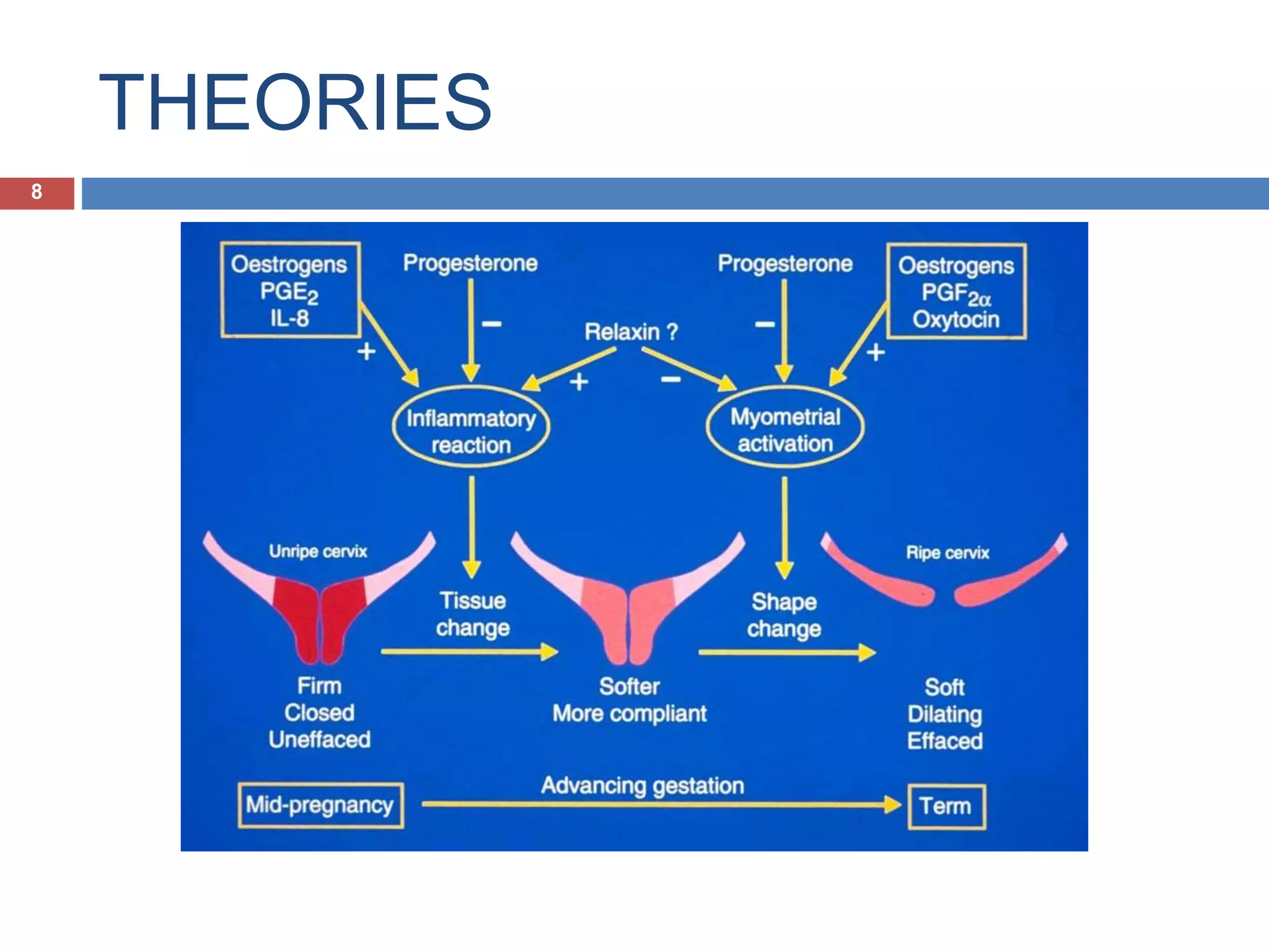 7. Normal-Labor-and-Delivery 07.12.14 lecture.ppt