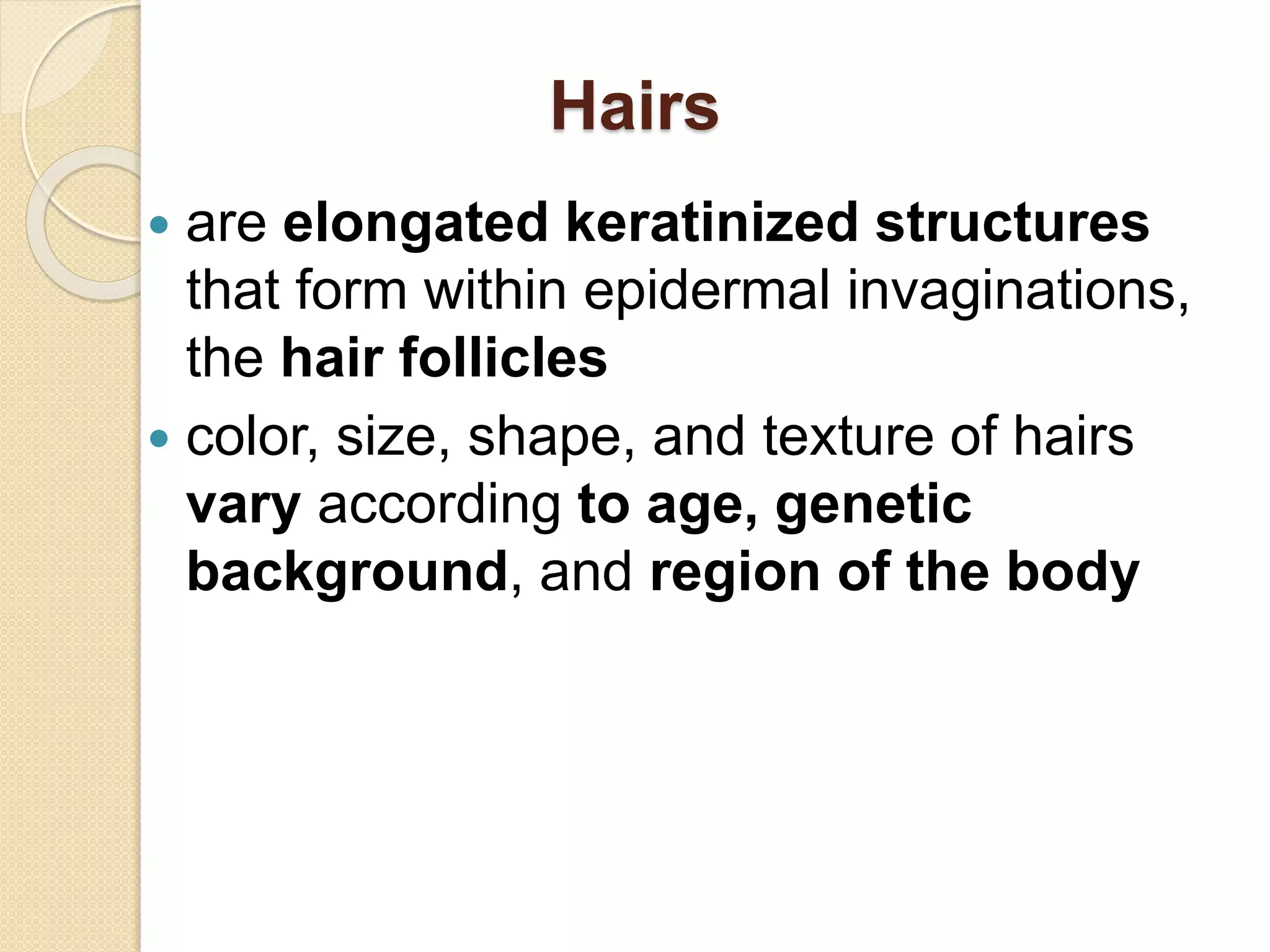 7.a APPENDAGES OF THE SKIN.pptx
