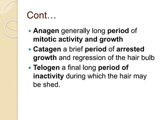 7.a APPENDAGES OF THE SKIN.pptx