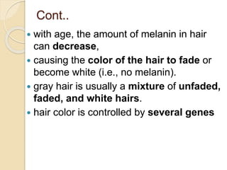 7.a APPENDAGES OF THE SKIN.pptx