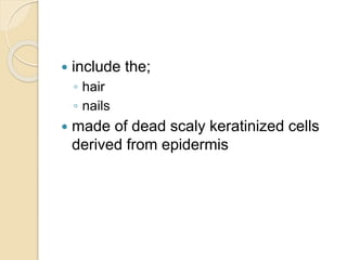 7.a APPENDAGES OF THE SKIN.pptx