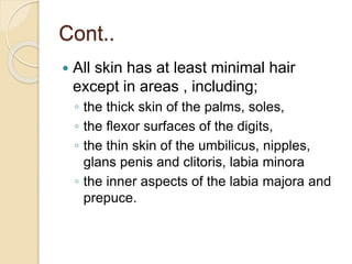 7.a APPENDAGES OF THE SKIN.pptx