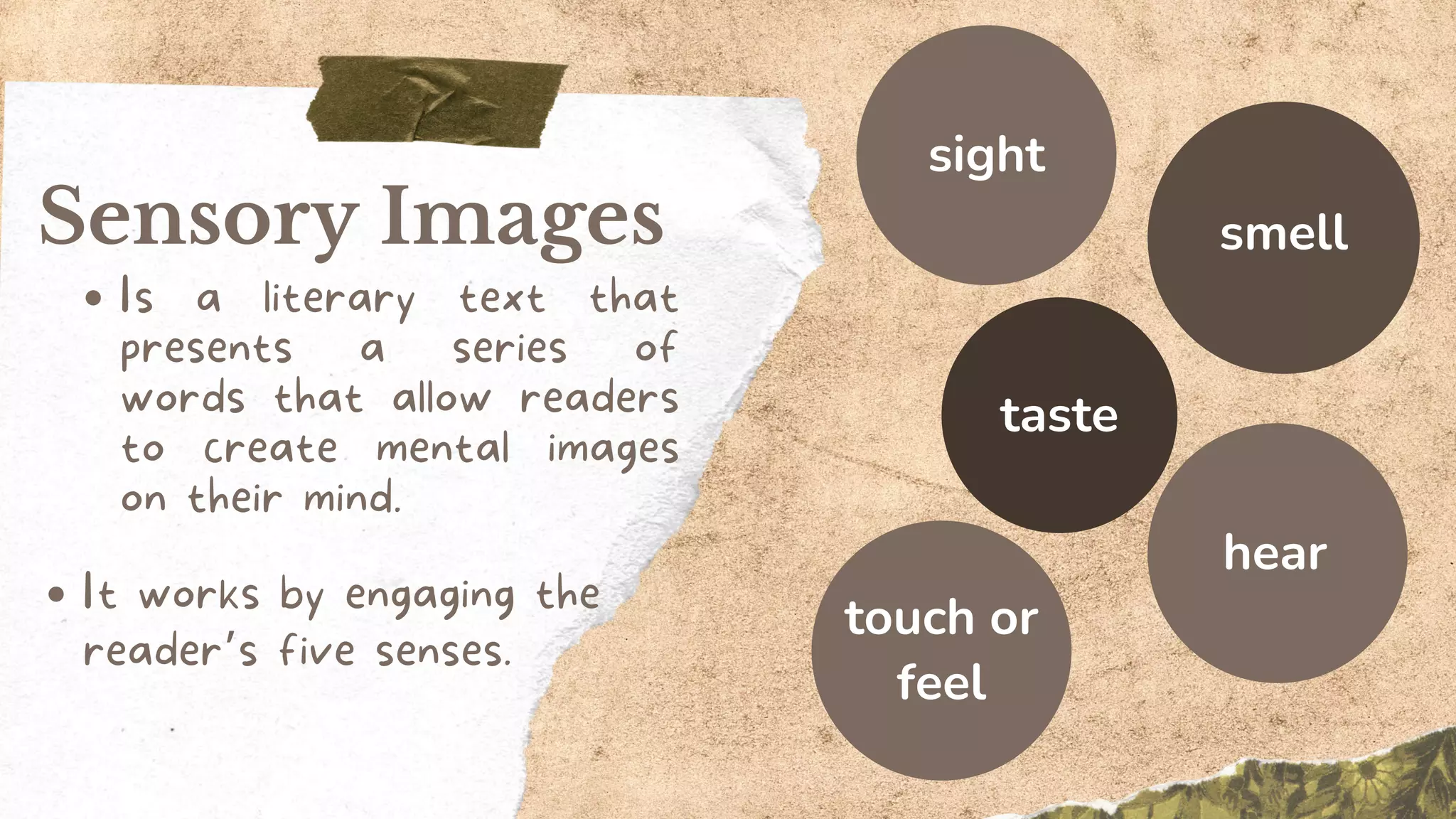 Sensory Images | PDF