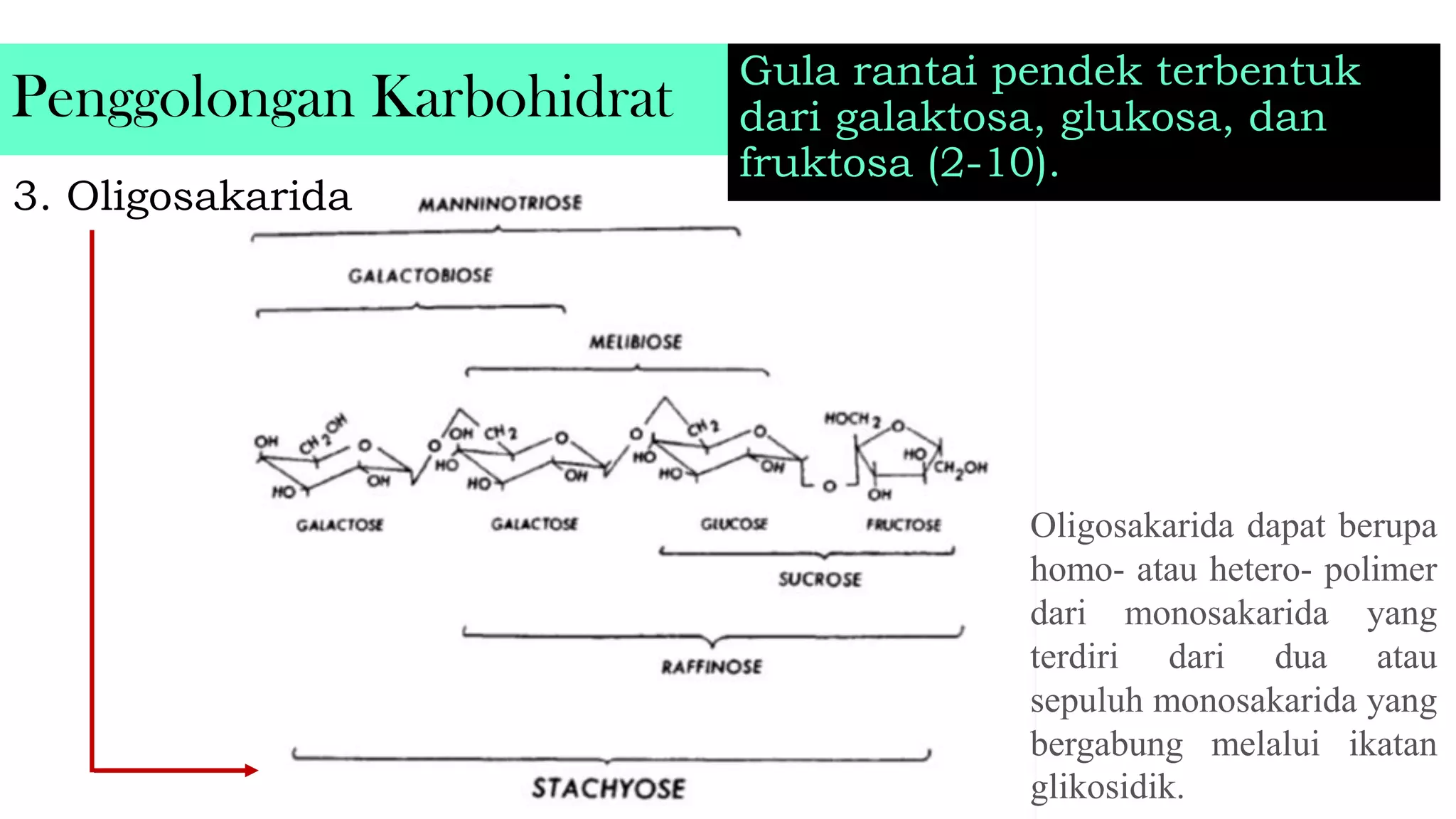 7.-Kimia-Karbohidrat.pdf