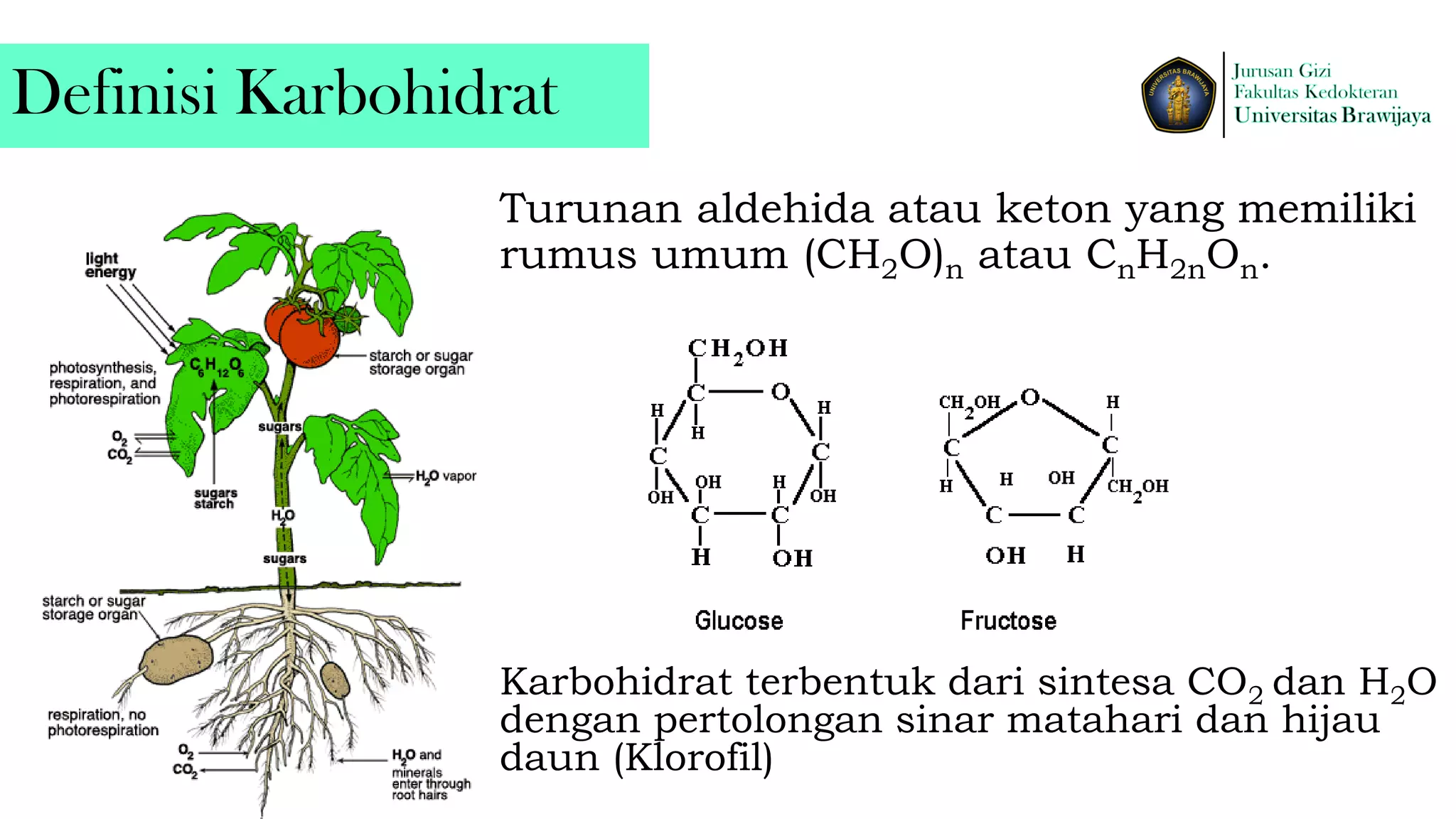 7.-Kimia-Karbohidrat.pdf