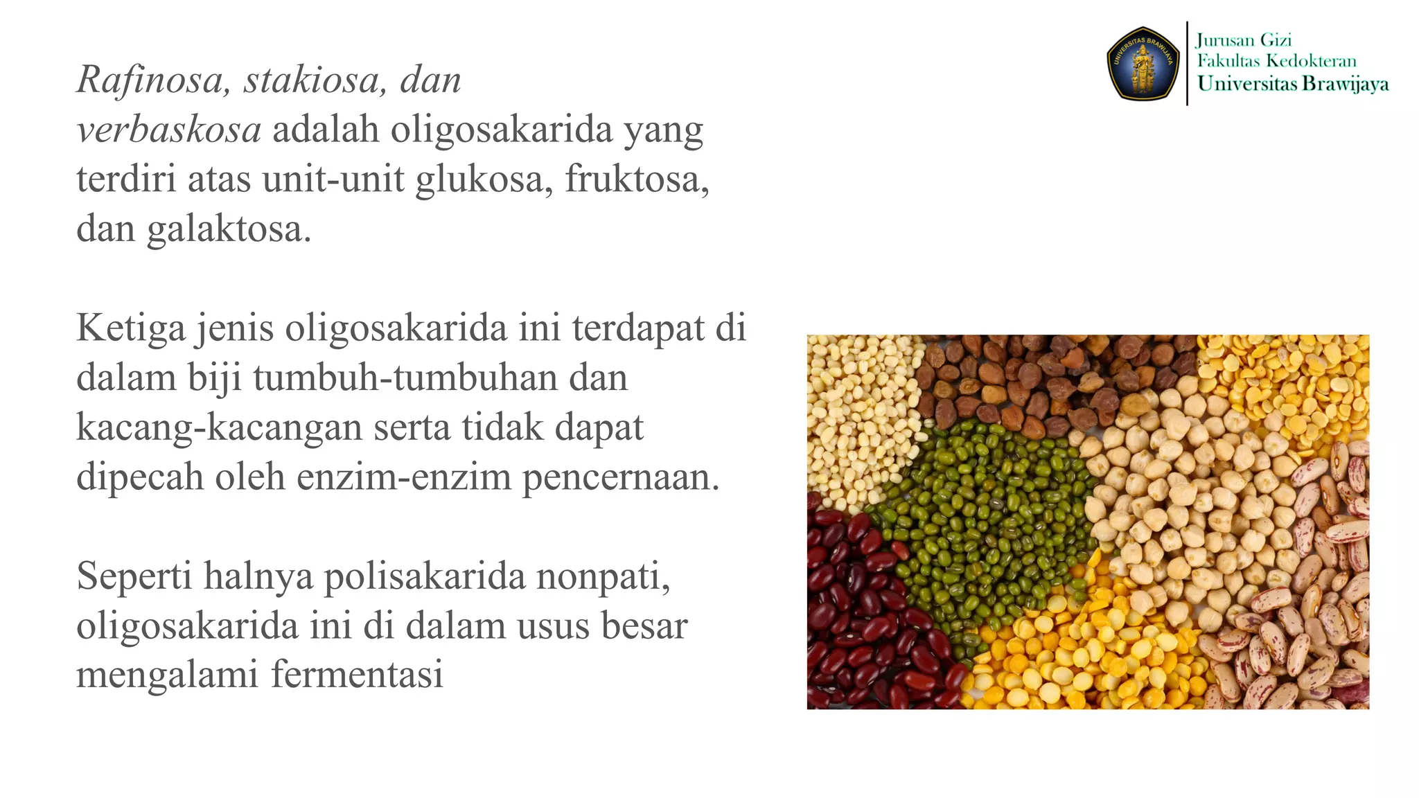 7.-Kimia-Karbohidrat.pdf
