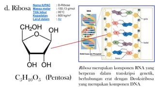 7.-Kimia-Karbohidrat.pdf