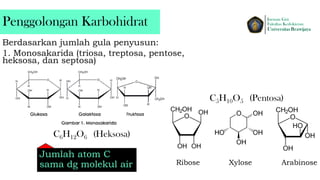 7.-Kimia-Karbohidrat.pdf