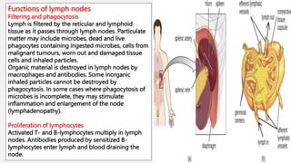 Lymphatic system.ppsx