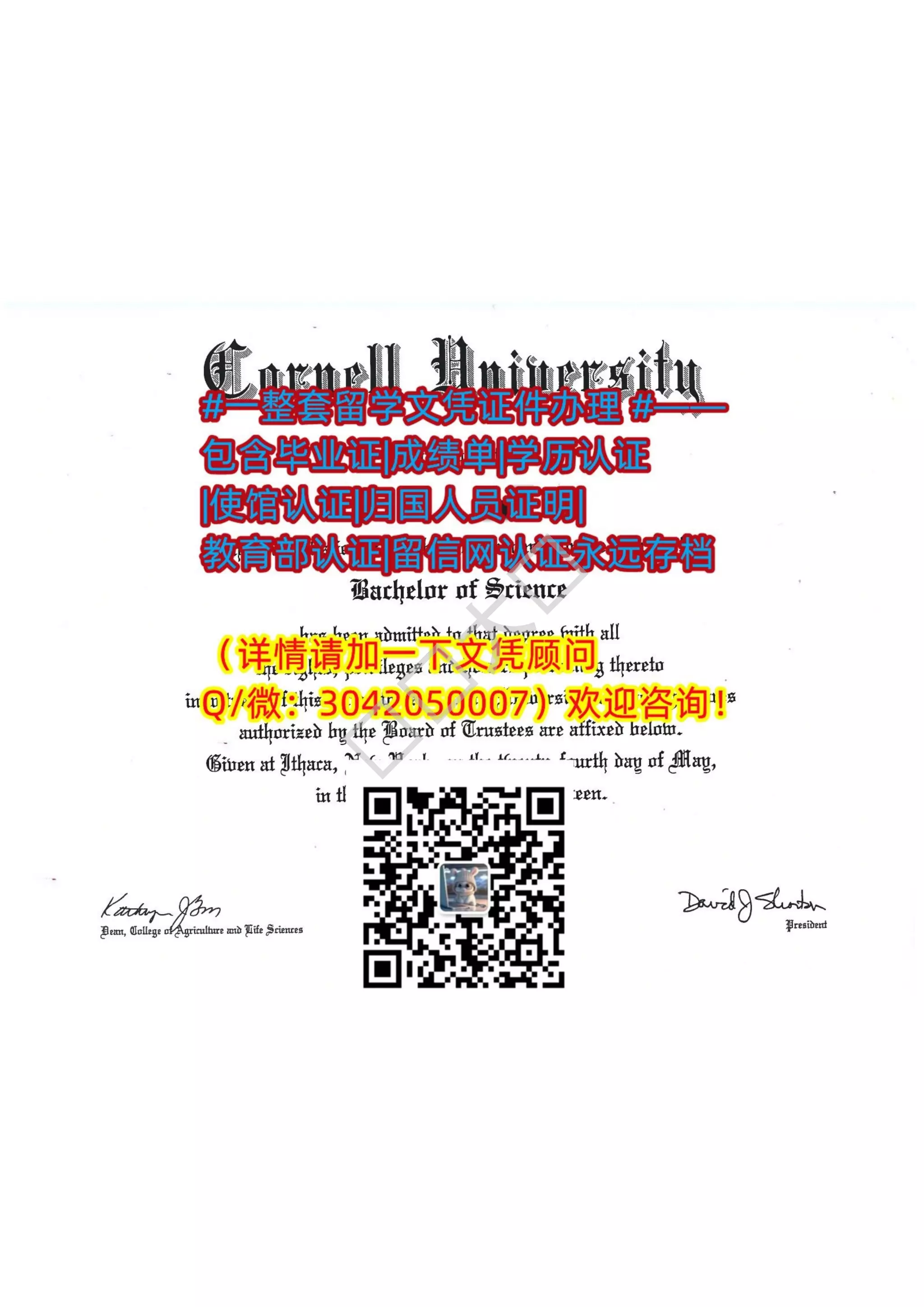 7康奈尔.pdf | College Education | Education