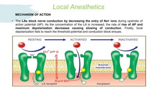 7.Local Anesthetics.pptx | Brain and Nervous System Disorders ...