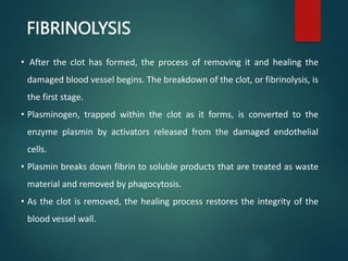 7. Coagulation of blood.ppt