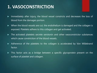 7. Coagulation of blood.ppt